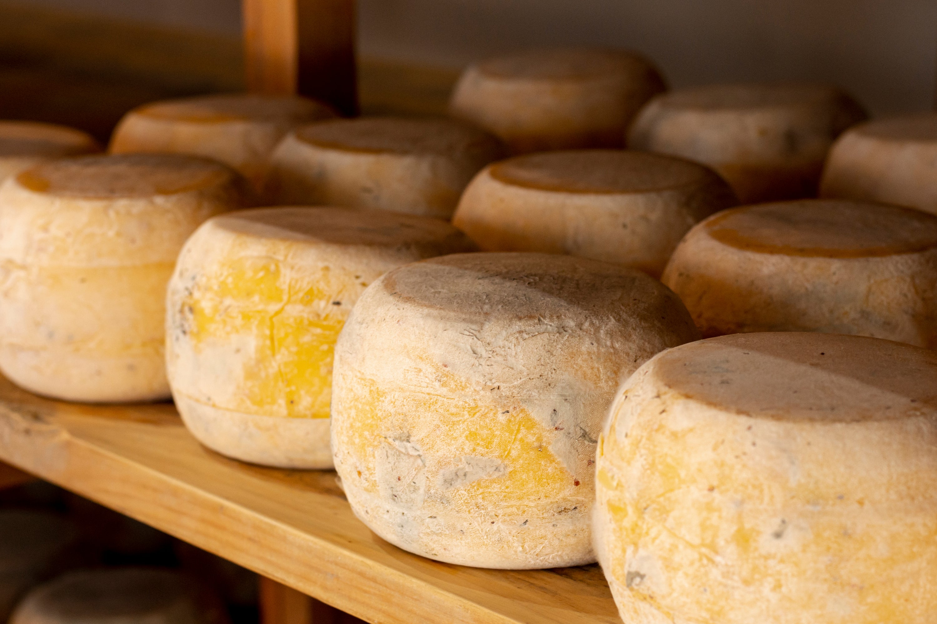 Central Coast Creamery – Tin City